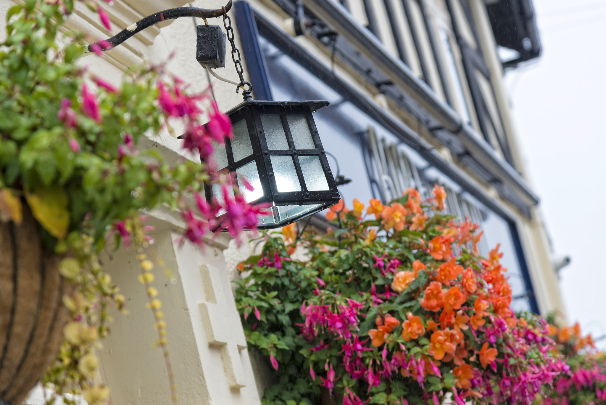 The Bird in Hand | Black Country Ales